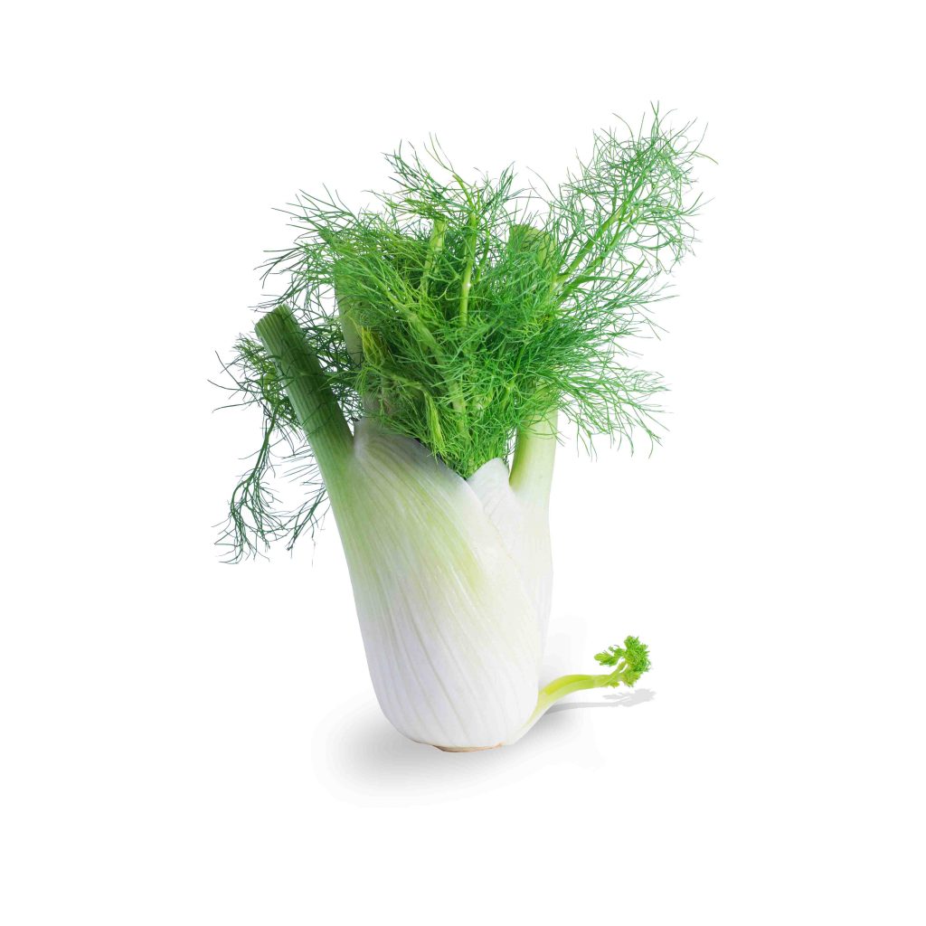 Mirpa – Fresh Produce