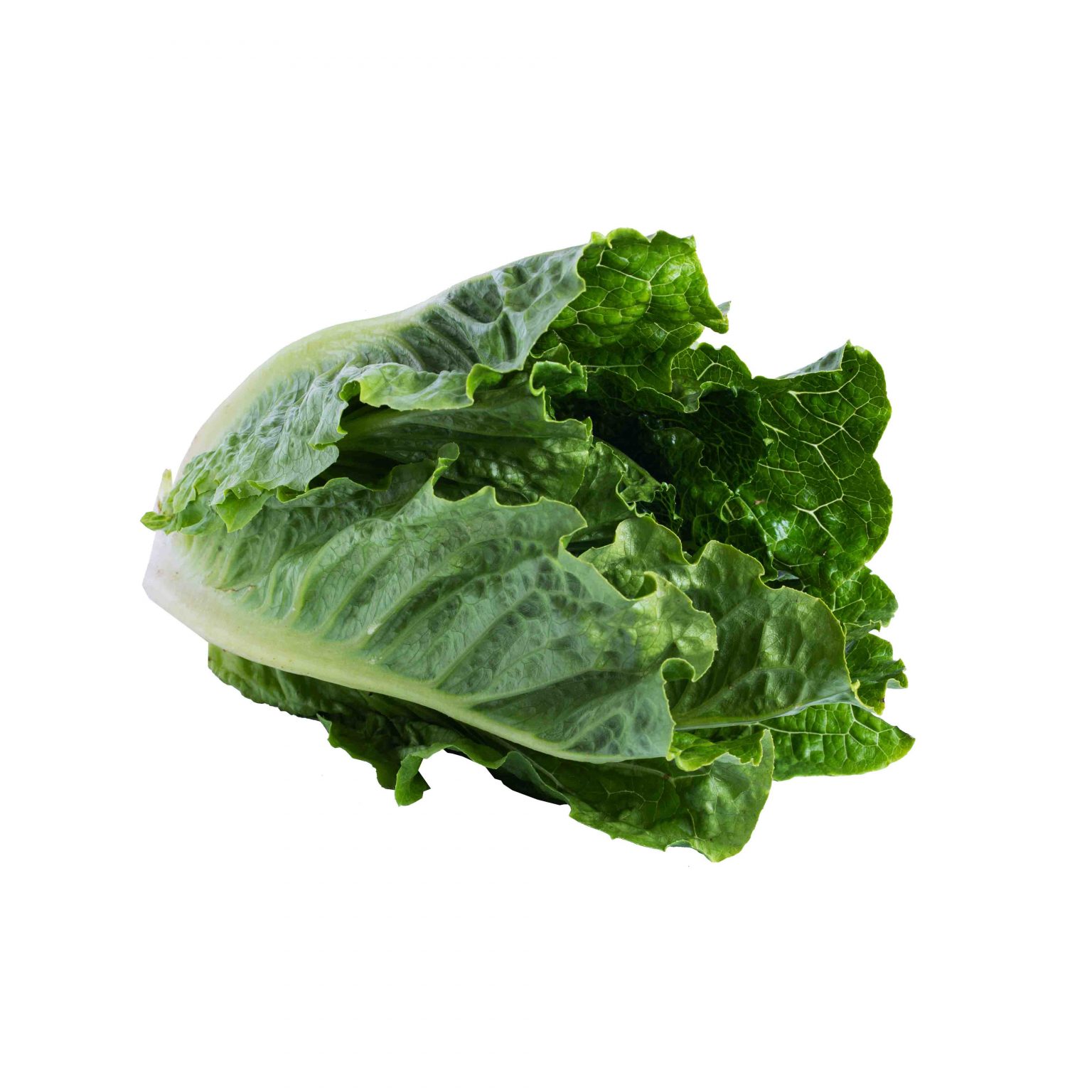 Mirpa – Fresh Produce