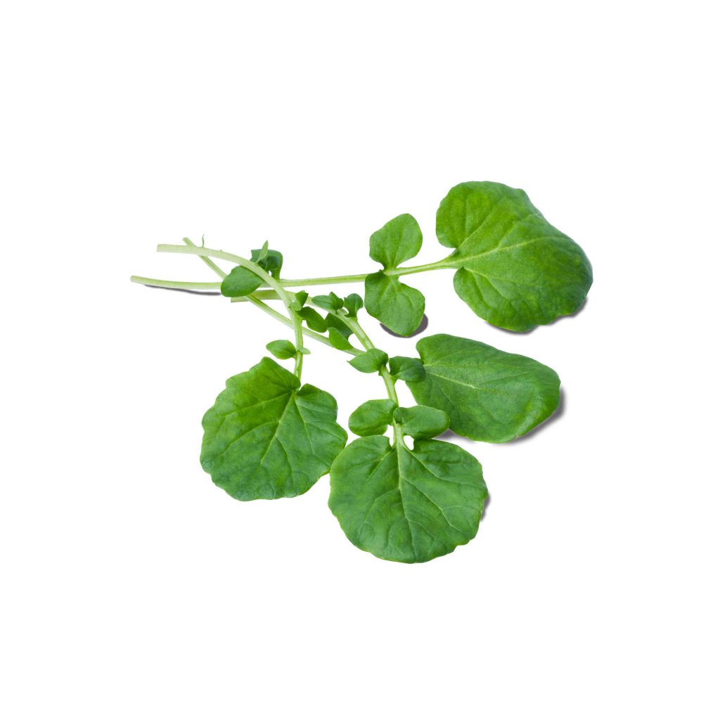 Mirpa – Fresh Produce